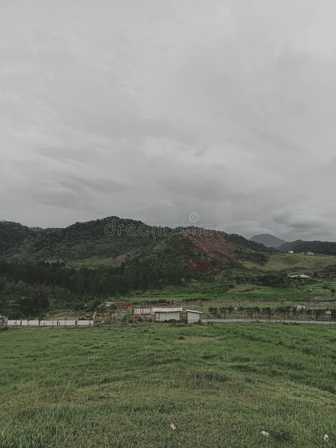 Farm hill cloud grass stock image. Image of tree, pasture - 263970081