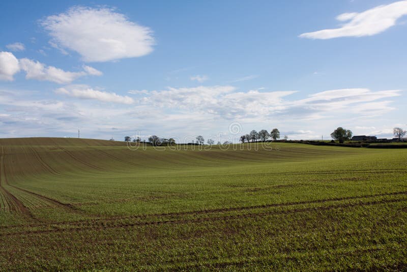 Aerial photo of Farmland stock image. Image of grass, conservation ...