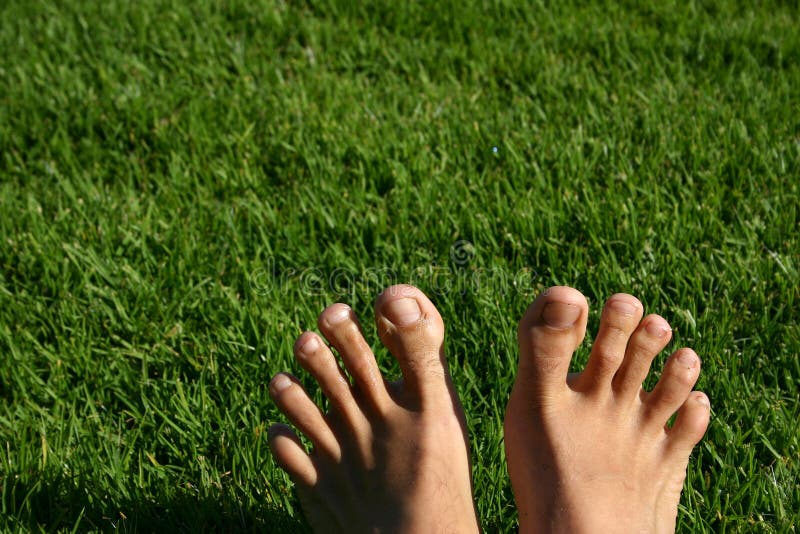 Grass Feet stock image. Image of sunshine, woman, dasiy - 619609
