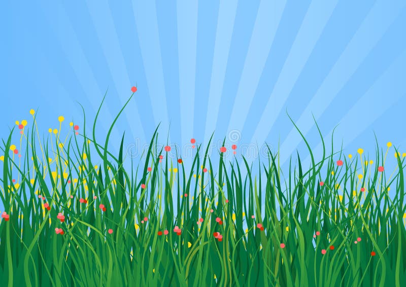 Grass Field Drawing Stock Illustrations – 52,486 Grass Field Drawing ...