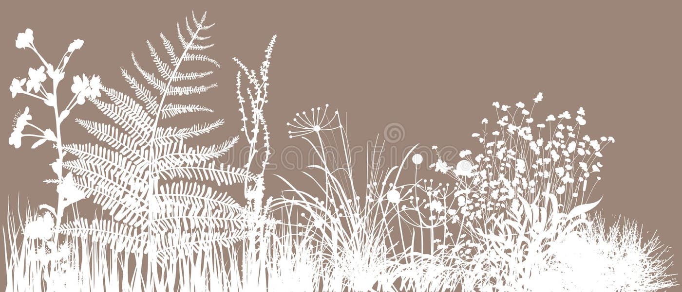 Fern Field Stock Illustrations – 3,883 Fern Field Stock Illustrations ...