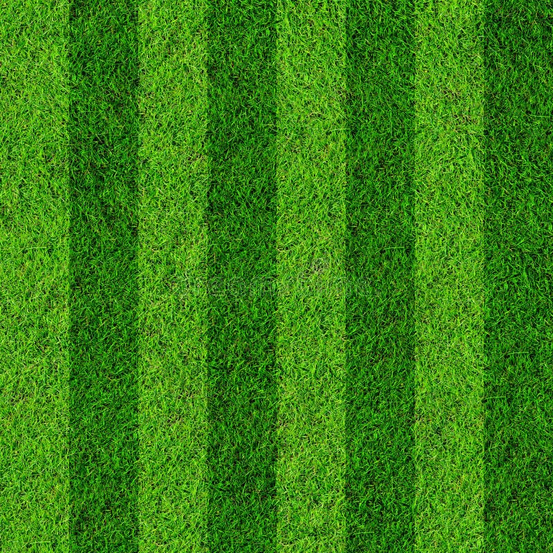 45,000+ Grass field Free Stock Photos - StockFreeImages
