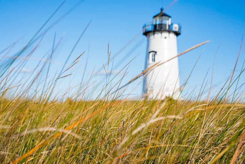 Grass in a Field with a Big White Blurry Lighthouse There Stock Photo ...