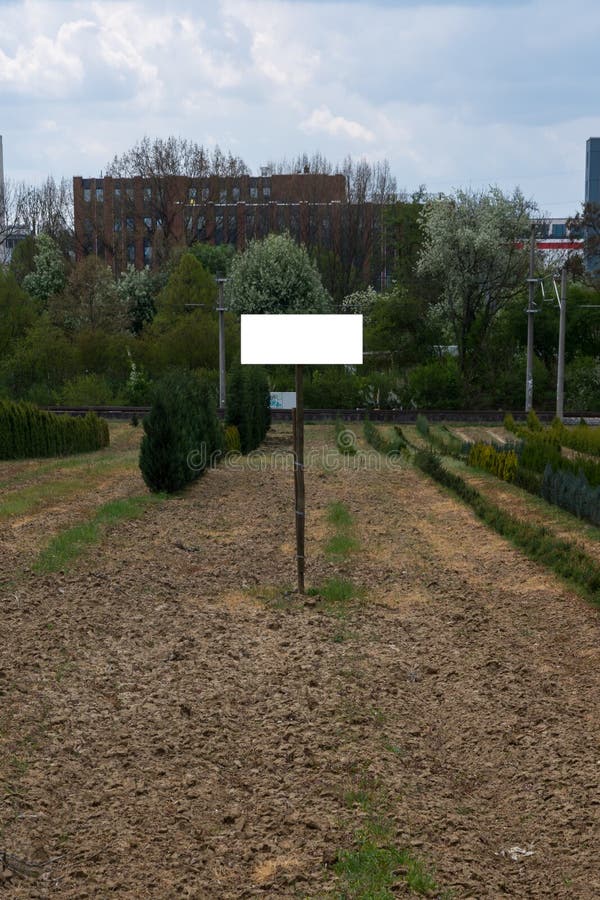 Grass Field Blank Sign Template Forest White Clipping Path Isolated ...