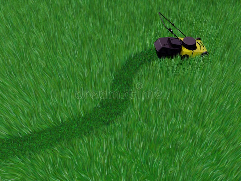Grass Field Cut by Lawn Mower Stock Illustration - Illustration of ...