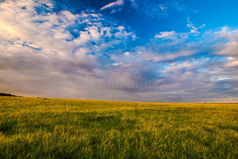 Grass Field and Dramatic Sky at Sunset Stock Photo - Image of farm ...