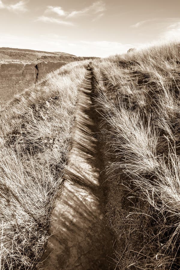 Grass Field in Fall, Palouse Falls State Park, WA Stock Photo - Image ...