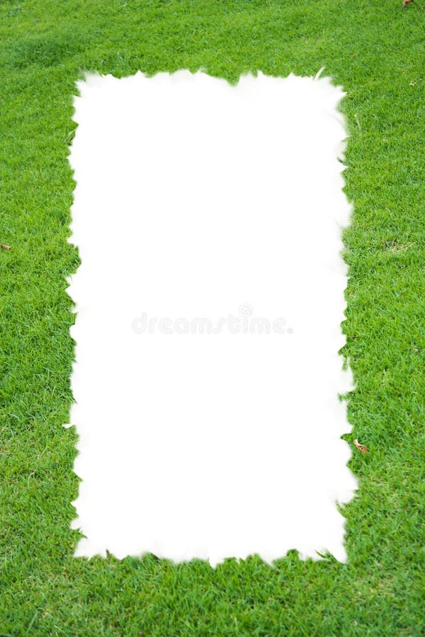 Grass field frame stock photo. Image of lifestyle, grunge - 14801702