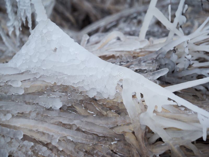 The Grass in the Field Instantly Froze and Cold. an Abnormal Drop in ...