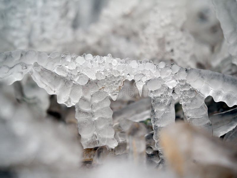 The Grass in the Field Instantly Froze and Cold. an Abnormal Drop in ...