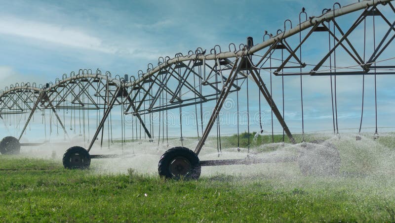 Grass Field Irrigated by a Pivot Sprinkler System I Stock Photo - Image ...