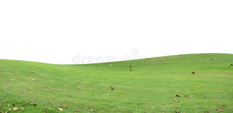 Grass Field Isolated on White Background with Clipping Path Stock Photo ...