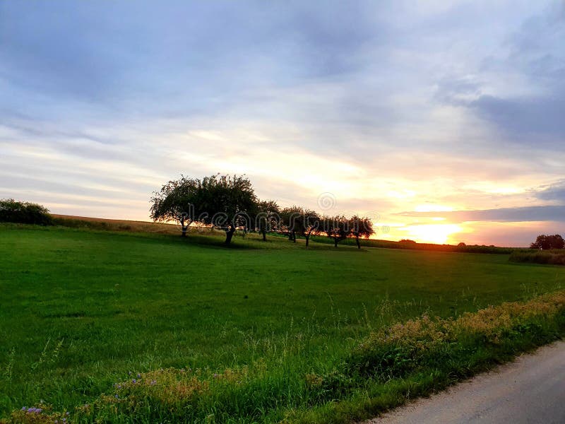 Grass Field Leading To the Sunrise Stock Photo - Image of sunny ...