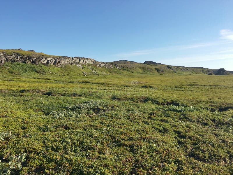 Tundra landscape in Russia stock photo. Image of tundra - 133944322