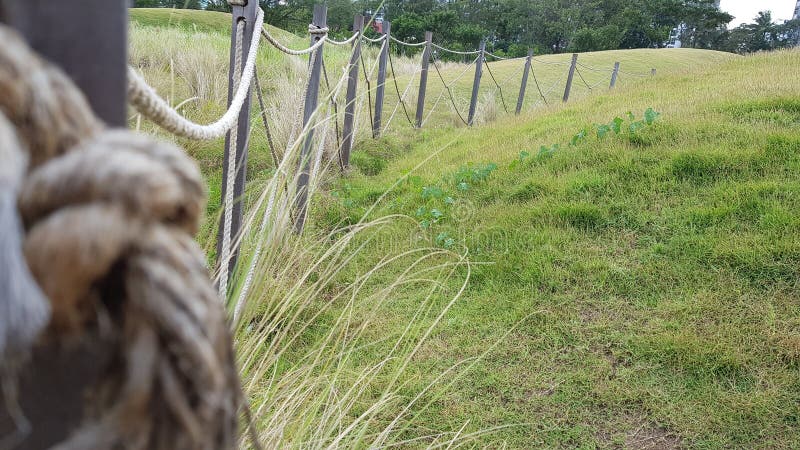 Grass Field with Rope Fence Stock Photo - Image of shrub, garden: 241199320