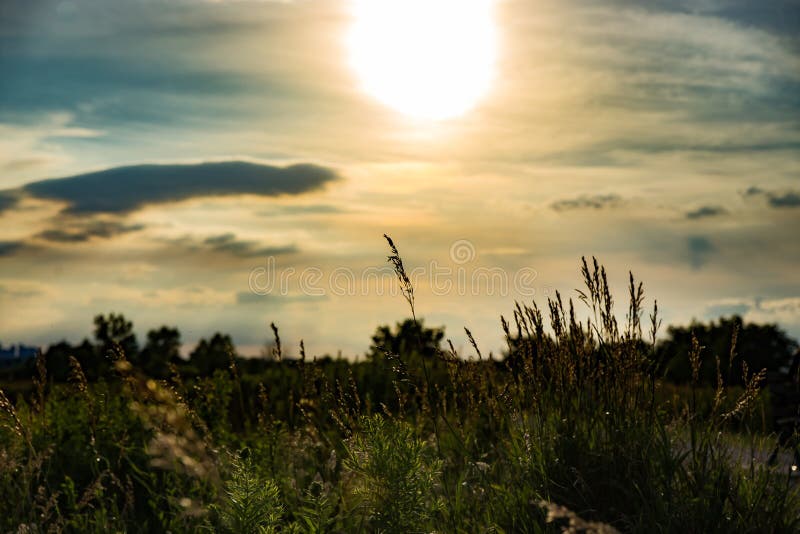 351 Rustling Grass Video Stock Photos - Free & Royalty-Free Stock ...