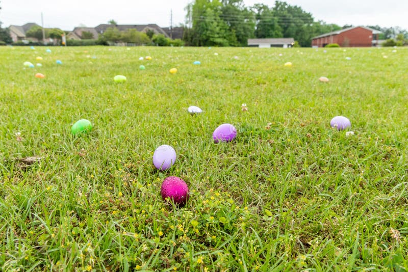 Grass Field Scattered with Easter Eggs Stock Image - Image of nature ...