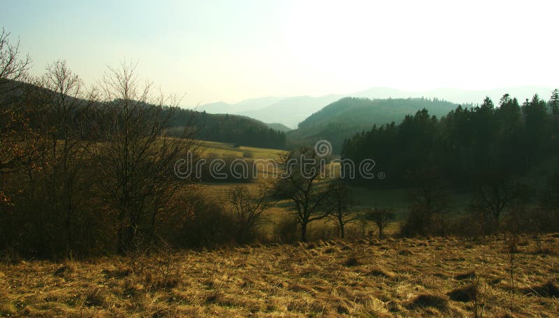 Grass Field Valley stock photo. Image of alone, beauty - 51957664