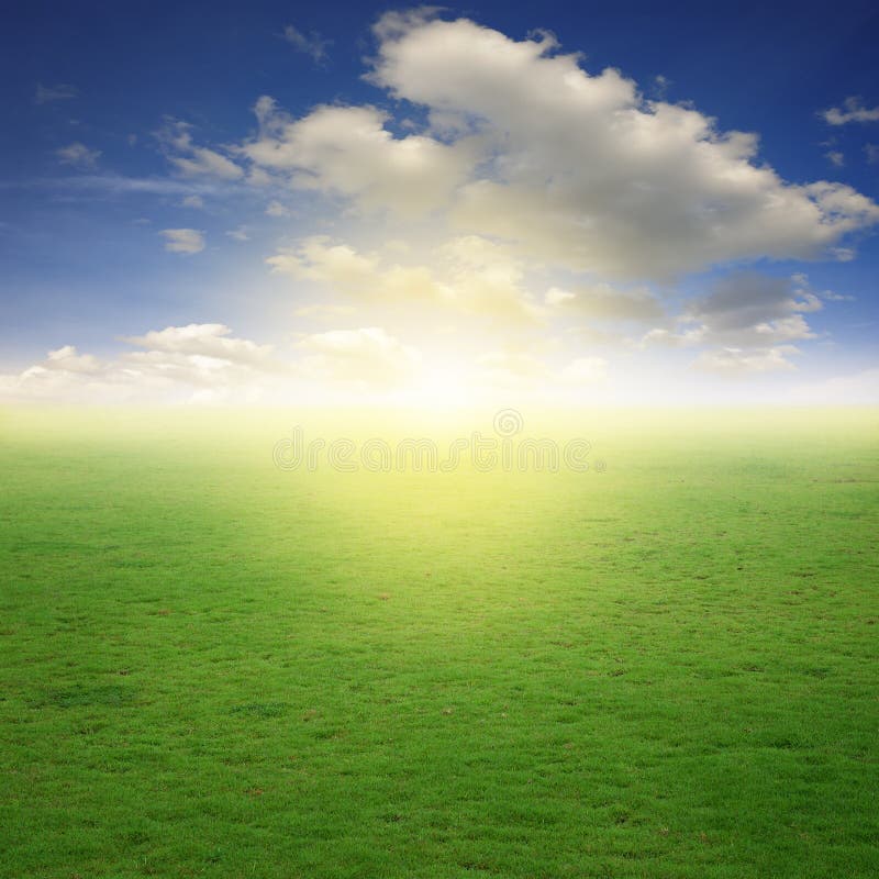 Grass Fields and Blue Sky on a Nice Day Stock Photo - Image of outdoor ...
