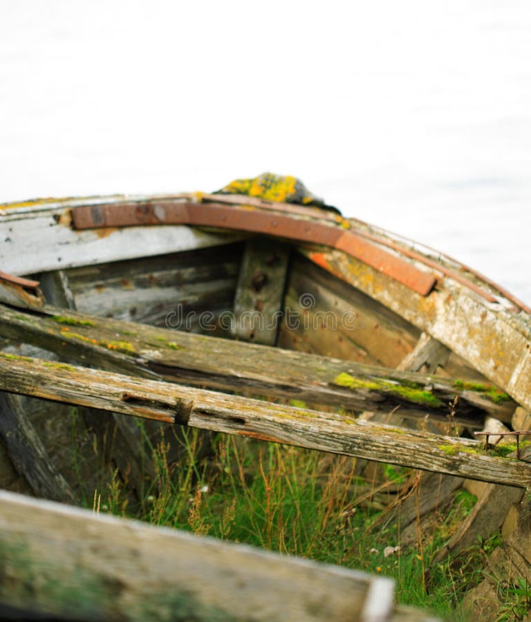Grass filled disused boat stock photo. Image of ancient - 2101428