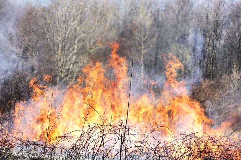 Grass fire stock image. Image of burning, extreme, grass - 12667285