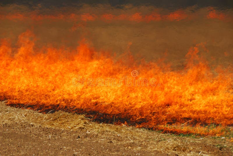 Grass Fire stock image. Image of stubble, cover, wildfire - 25246963