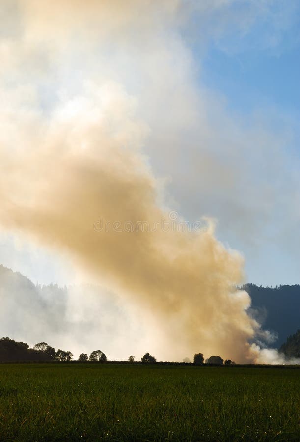 Grass Fire stock image. Image of stubble, cover, wildfire - 25246963