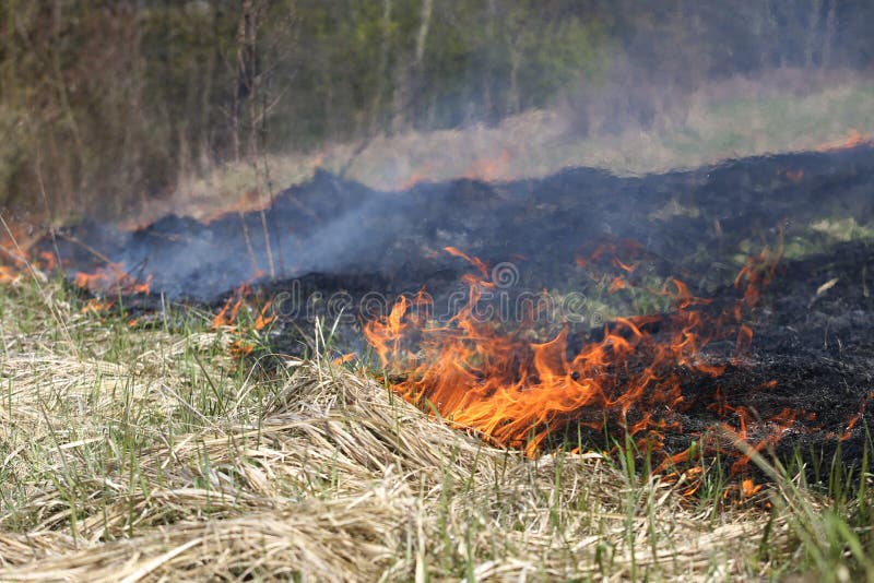 A Grass Fire or Bush Fire in the Wild Stock Photo - Image of hazard ...