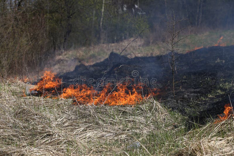 A Grass Fire or Bush Fire in the Wild Stock Photo - Image of arson ...