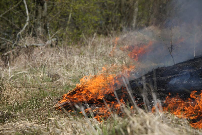 A Grass Fire or Bush Fire in the Wild Stock Image - Image of emergency ...
