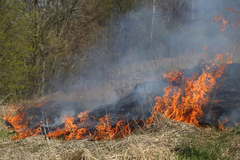 A Grass Fire or Bush Fire in the Wild Stock Photo - Image of hazard ...
