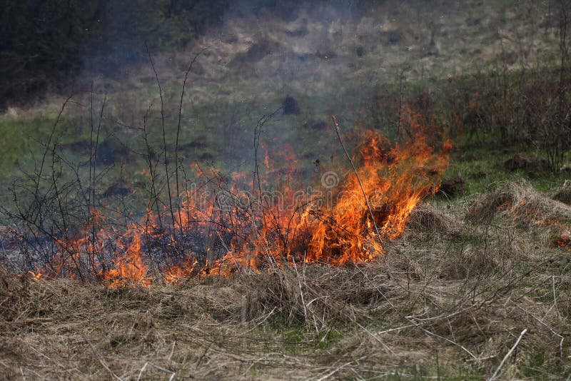 A Grass Fire or Bush Fire in the Wild Stock Photo - Image of agricuture ...