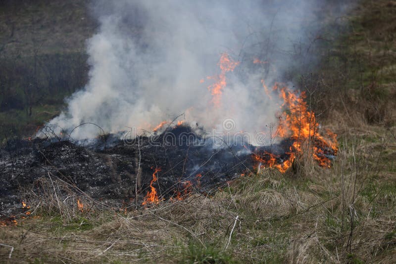 A Grass Fire or Bush Fire in the Wild Stock Image - Image of hazard ...