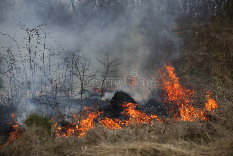 A Grass Fire or Bush Fire in the Wild Stock Image - Image of glow ...