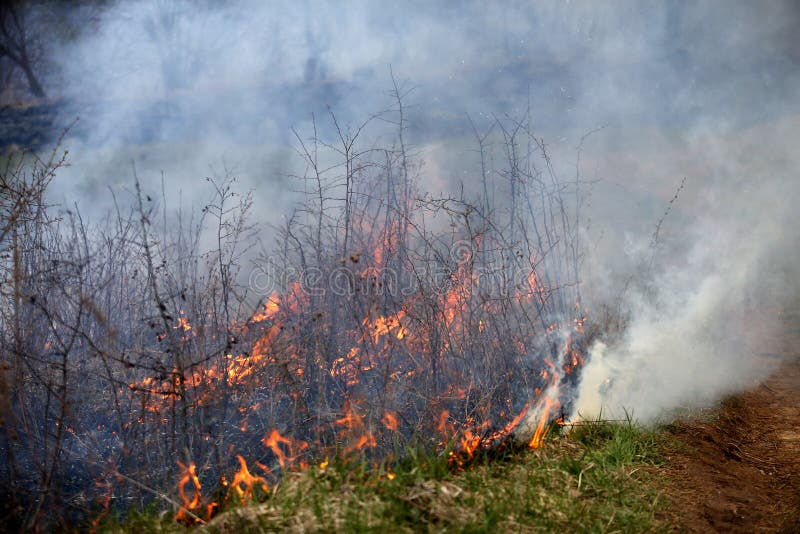 A Grass Fire or Bush Fire in the Wild Stock Image - Image of hazard ...