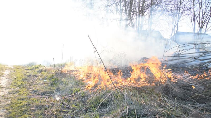 Grass Fire Spreading Rapidly Stock Footage - Video of plume, ecosystem ...