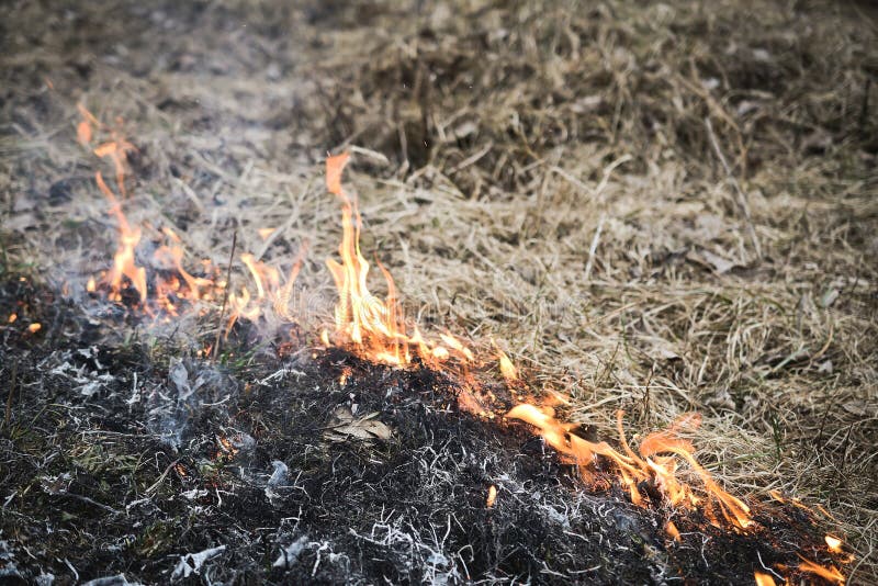 Grass fire on nature stock image. Image of farm, agriculture - 89534471