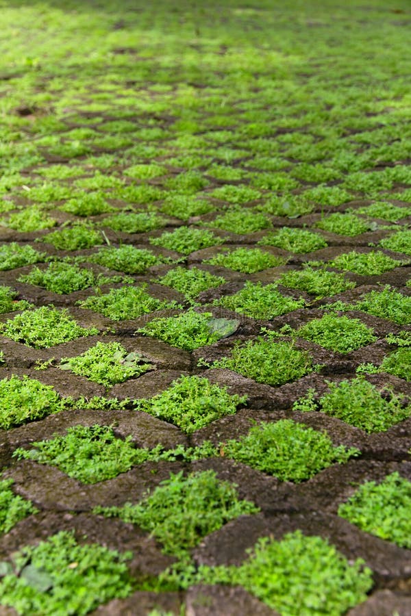 Grass floor block stock photo. Image of front, gardening - 27187914