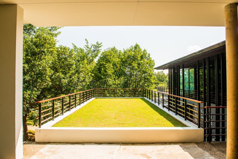 Grass Floor on Roof of Modern Building Stock Photo - Image of home ...