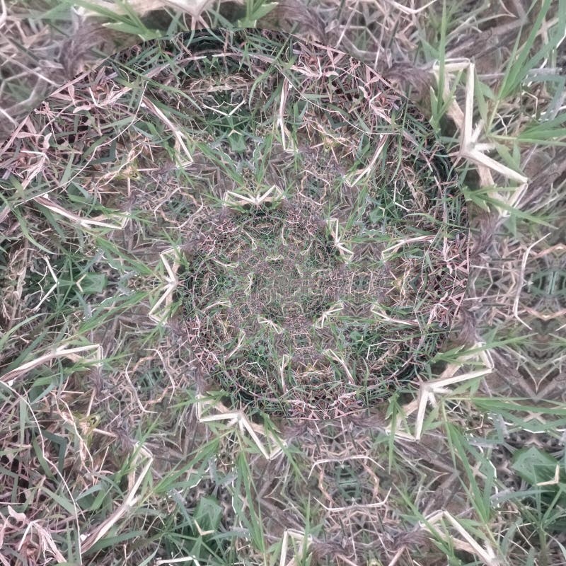 Grass Floral Hypothetical Illustration Stock Image - Image of vintage ...