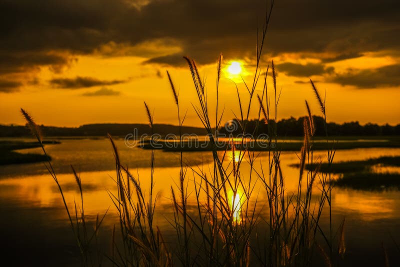 Swamp Sunset from an Overlook Tower Stock Image - Image of river, gulf ...