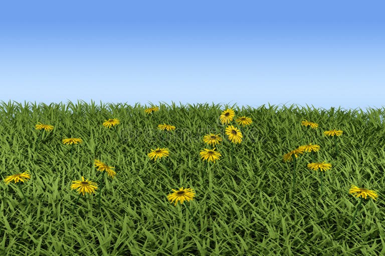 Native Grass Stock Illustrations – 7,947 Native Grass Stock ...