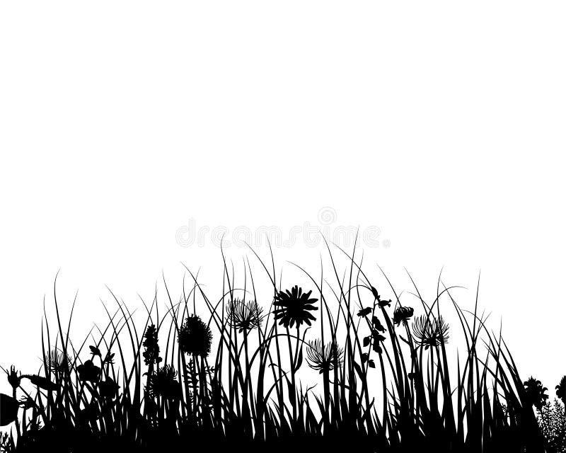 Grass and flowers stock vector. Illustration of drawings - 7844817