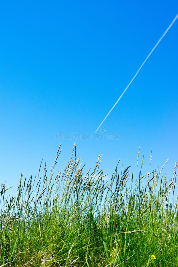 Grass and flying airplane stock photo. Image of nature - 94970302