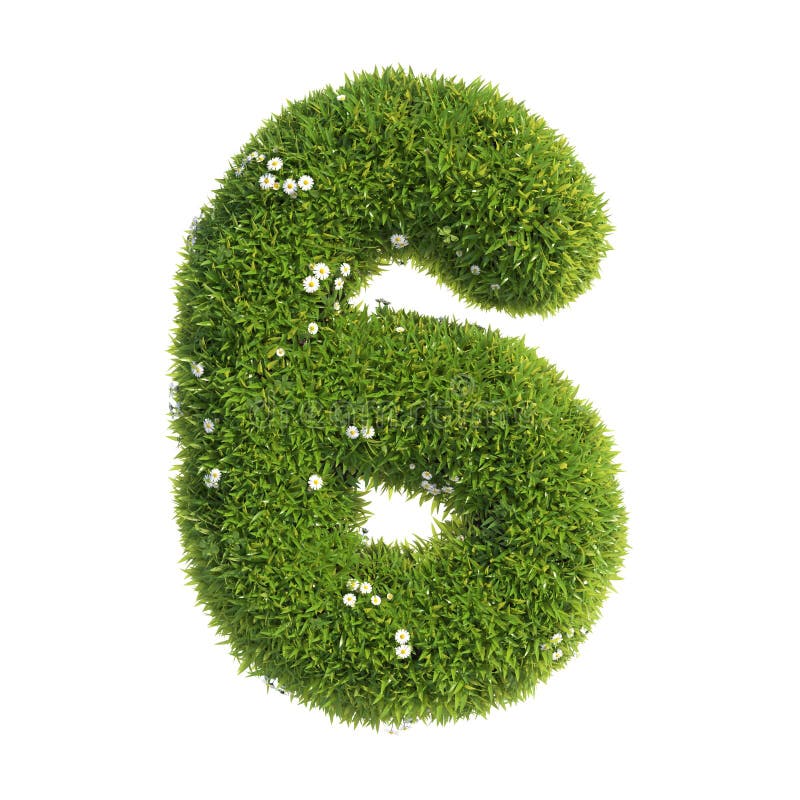 Number 6 Green Grass Flowers Stock Illustrations – 16 Number 6 Green ...