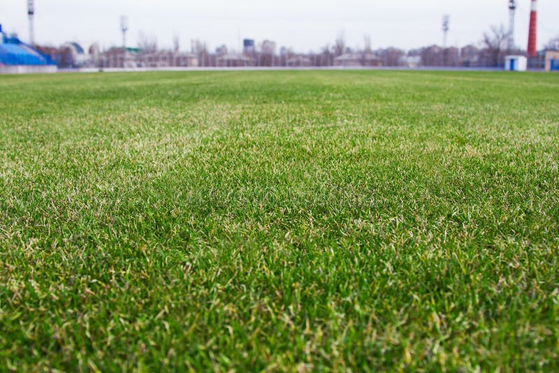 Grass on the Football Field Stock Photo - Image of football, summer ...