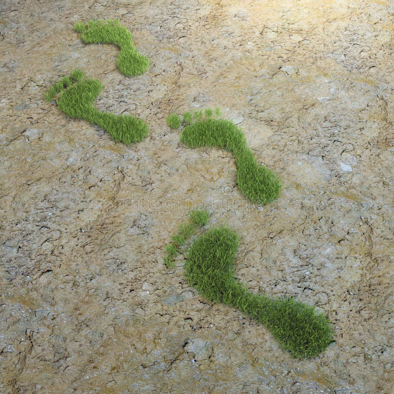 4,992 Grass Footprint Stock Photos - Free & Royalty-Free Stock Photos ...