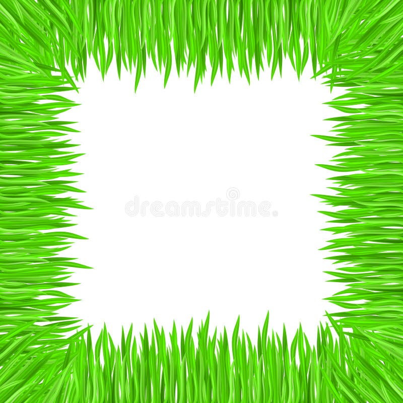 Grass frame stock vector. Illustration of landscape, fresh - 19015390