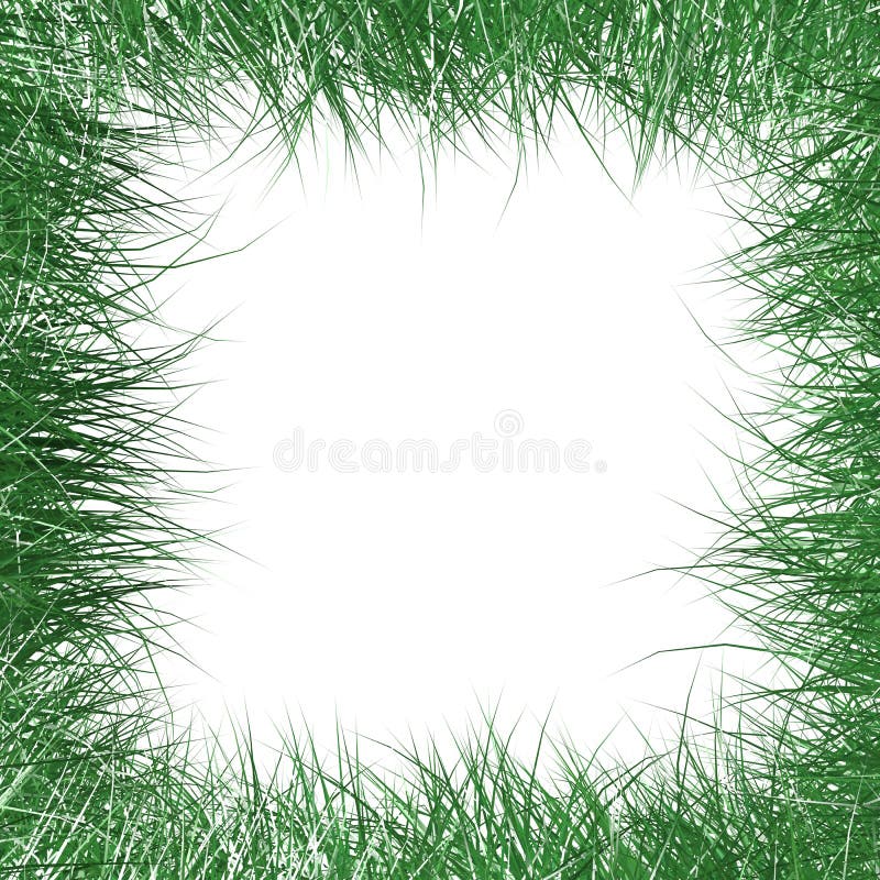 Grass Frame Picture. Image: 19994563