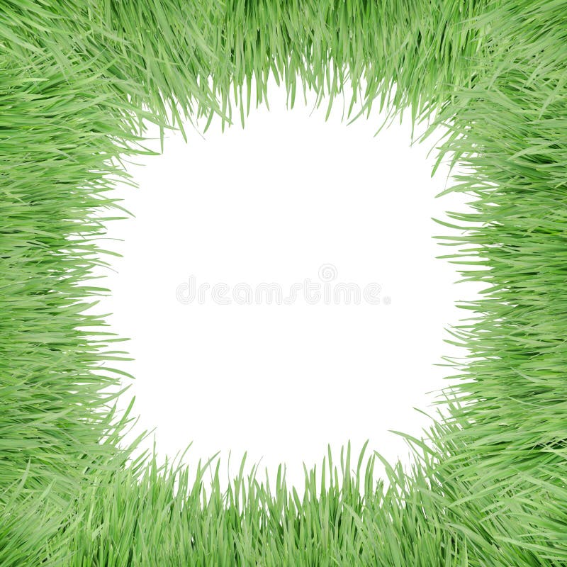 Grass Frame stock photo. Image of lawn, green, pasture - 81235906